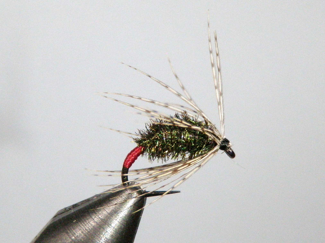 X Wing Caddis – Green Caddis Outfitters